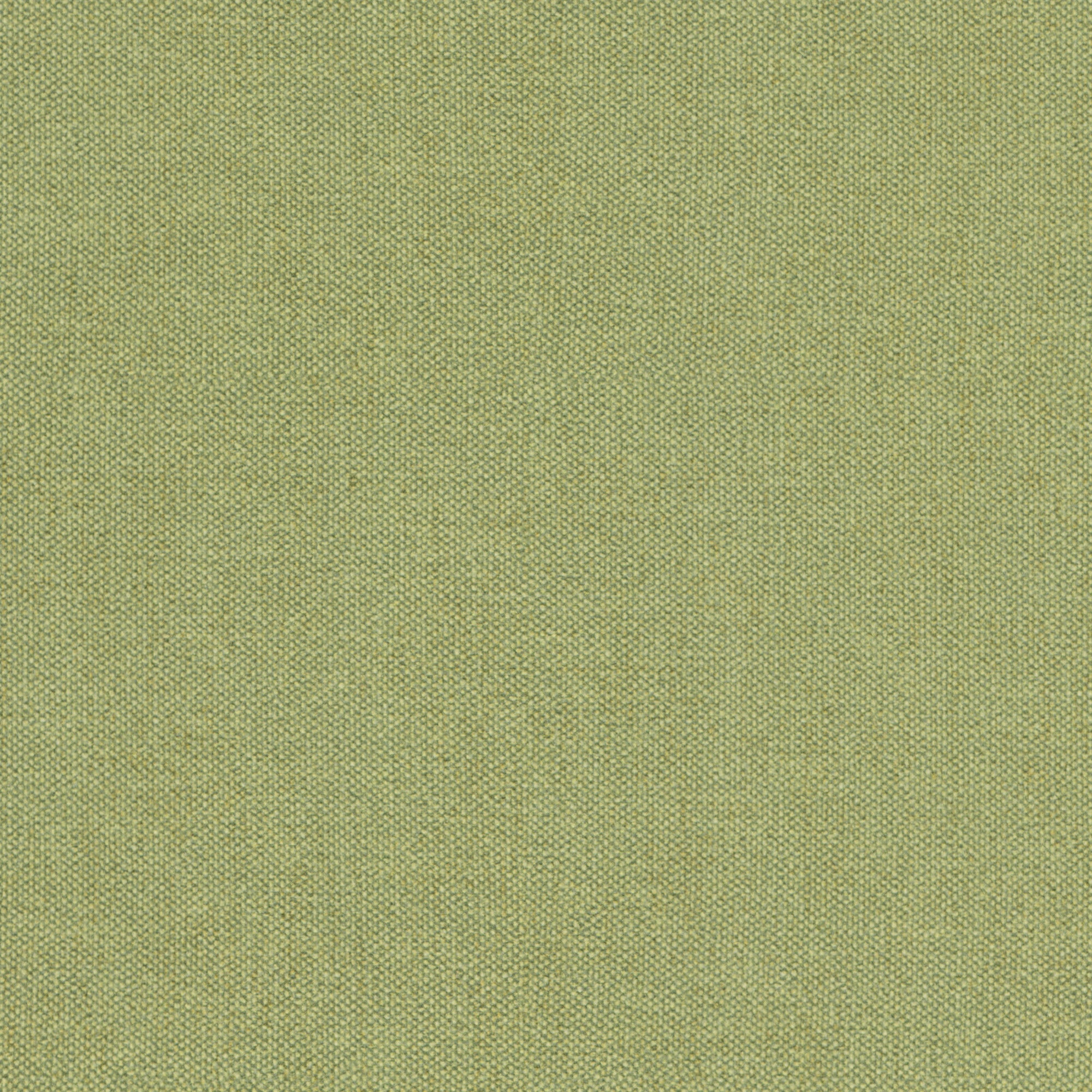 CRISTIANA MASI / PICTURA 39075 | 輸入壁紙専門店 WALPA – WALPA.jp