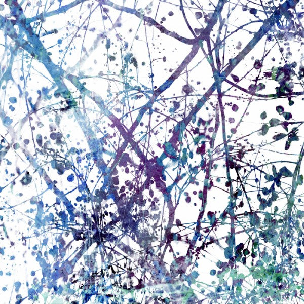 PHOTOWALL / Dreamy Branches (e40194) | 輸入壁紙専門店 WALPA – WALPA.jp