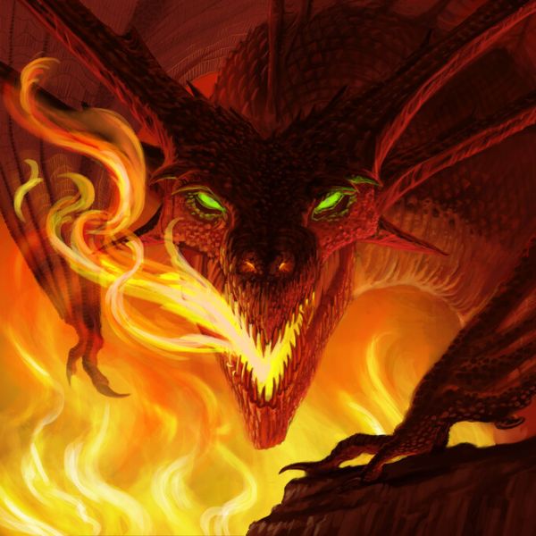 PHOTOWALL / Fire Dragon Glaring (e330154) | 輸入壁紙専門店 WALPA – WALPA.jp