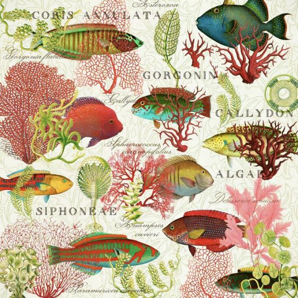 PHOTOWALL / Red Coral and Fish (e84733) | 輸入壁紙専門店 WALPA – WALPA.jp