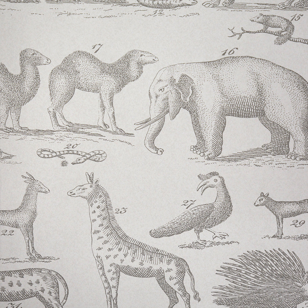 Andrew Martin / Museum / Ark Cloud | 輸入壁紙専門店 WALPA – WALPA.jp